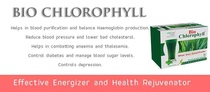 Wheatgrass extract powder in Chennai India